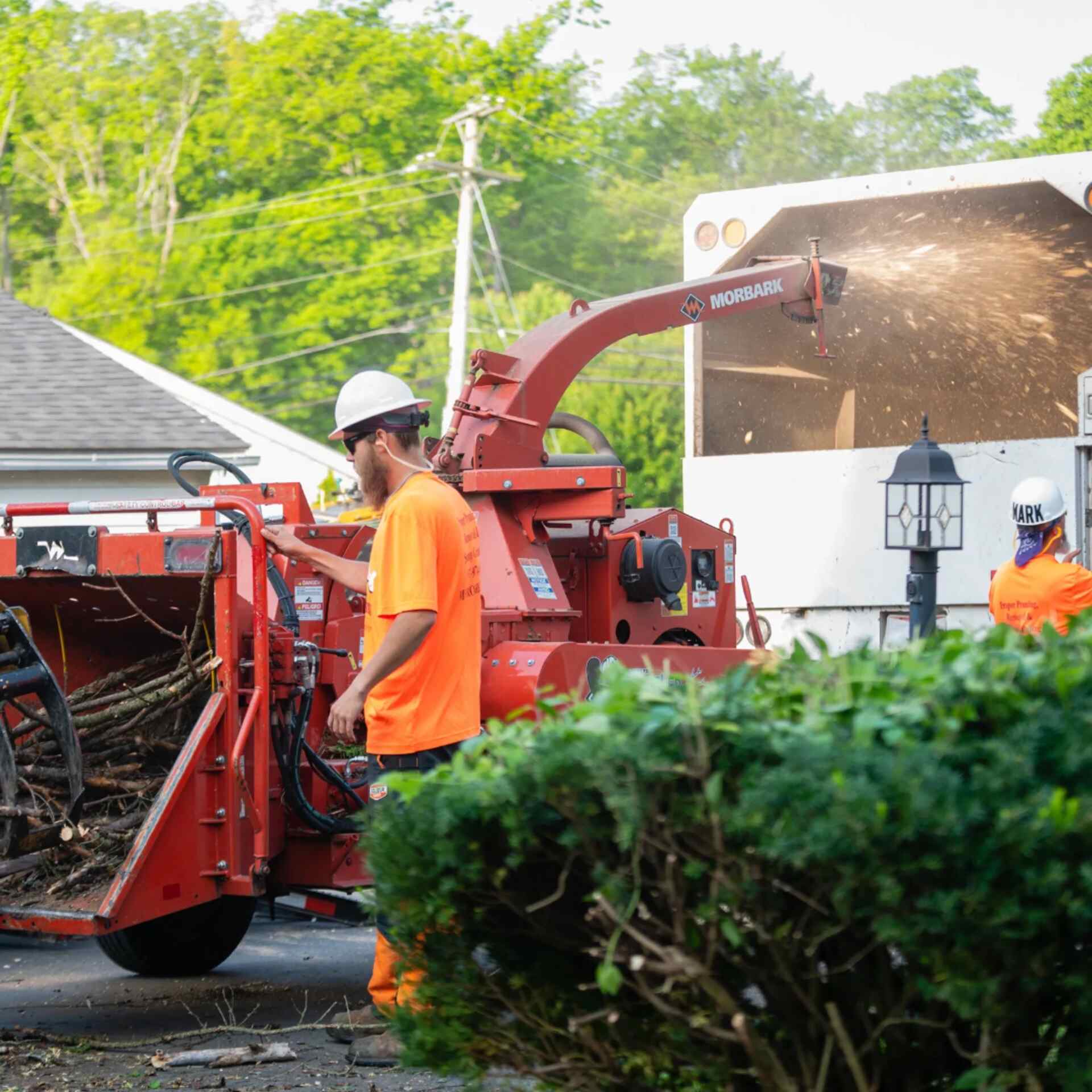 Gallery - Harrison's Pro Tree Service